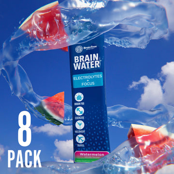 BrainTree Nutrition™ | Brain Health Supplements